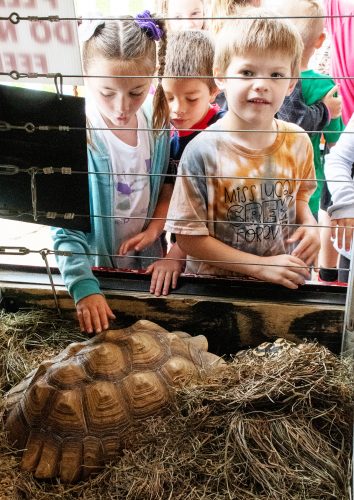 WEST BRANCH ELC CARNIVAL | News, Sports, Jobs - Morning Journal